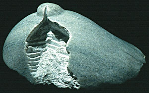 Art Exhibit | Body Memories: An Exploration of Breast Cancer in Marble ...