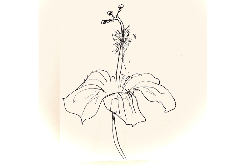 Art Exhibit | Frederick Franck: Drawings, Paintings & Icons | Yale ...